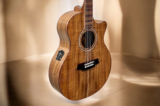 RAN Recording Series - Cole Clark Guitars | Cole Clark Guitars